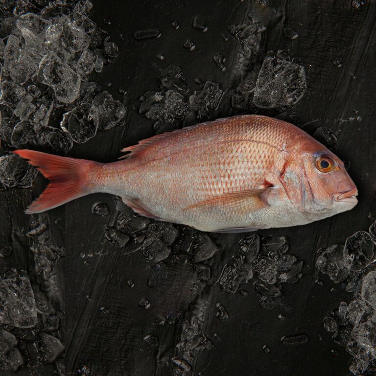 Pargo - Receta Rápida y Fácil